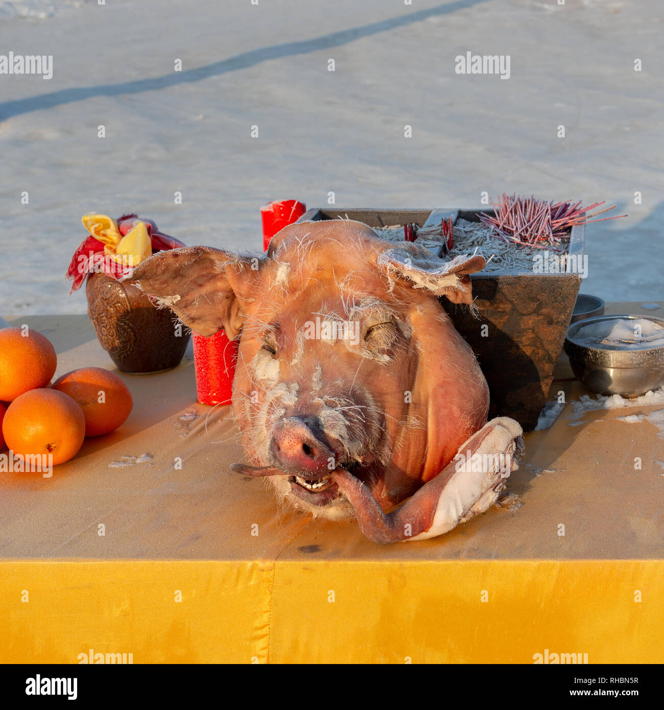 Pigs head for sale hi-res stock photography and images - Alamy