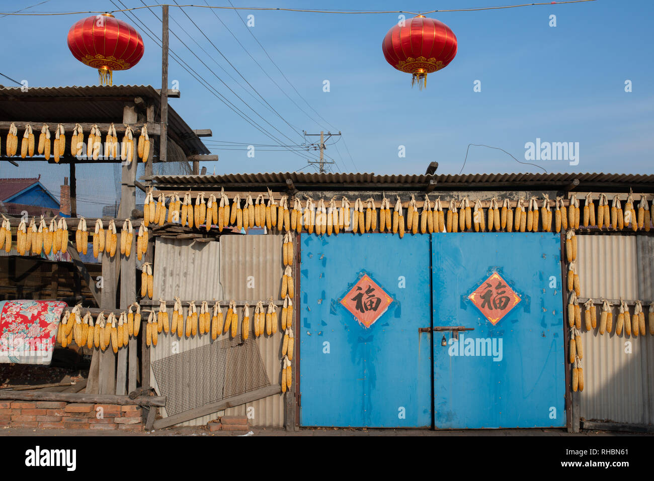 Chinese corn hi-res stock photography and images - Alamy
