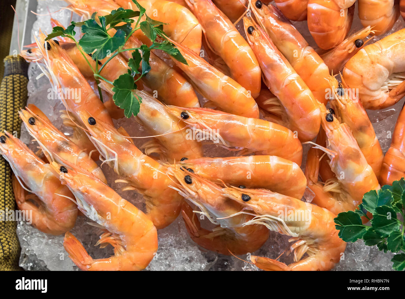 Chilled shrimp hi-res stock photography and images - Alamy