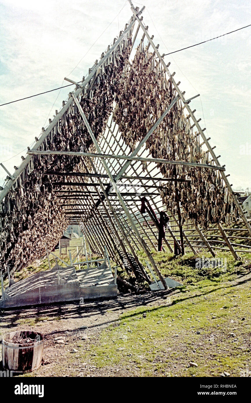 Fish drying racks, Gildetun, Norway Stock Photo - Alamy