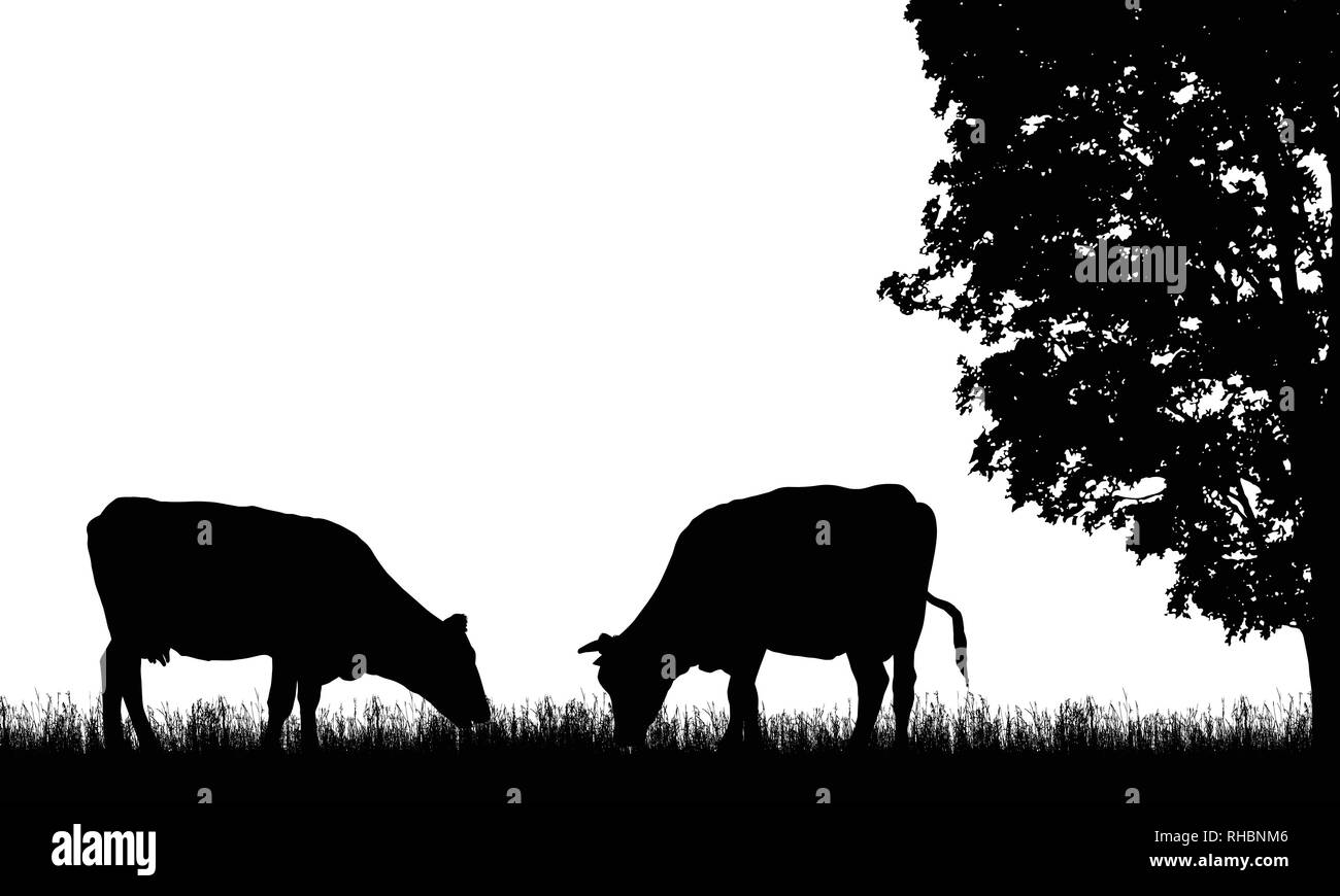 Cow field drawing hi-res stock photography and images - Alamy