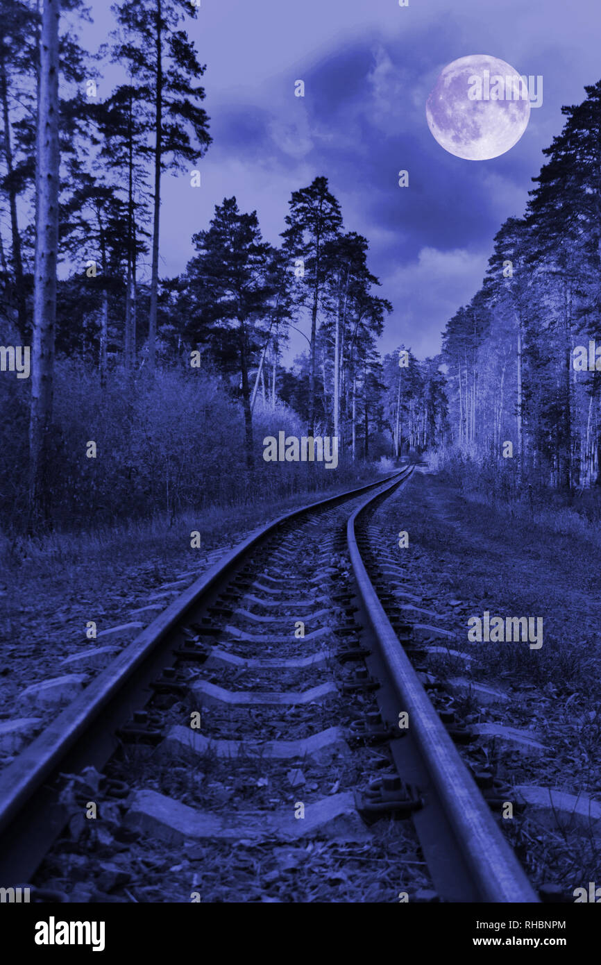 Railroad tracks through the woods at night Stock Photo - Alamy