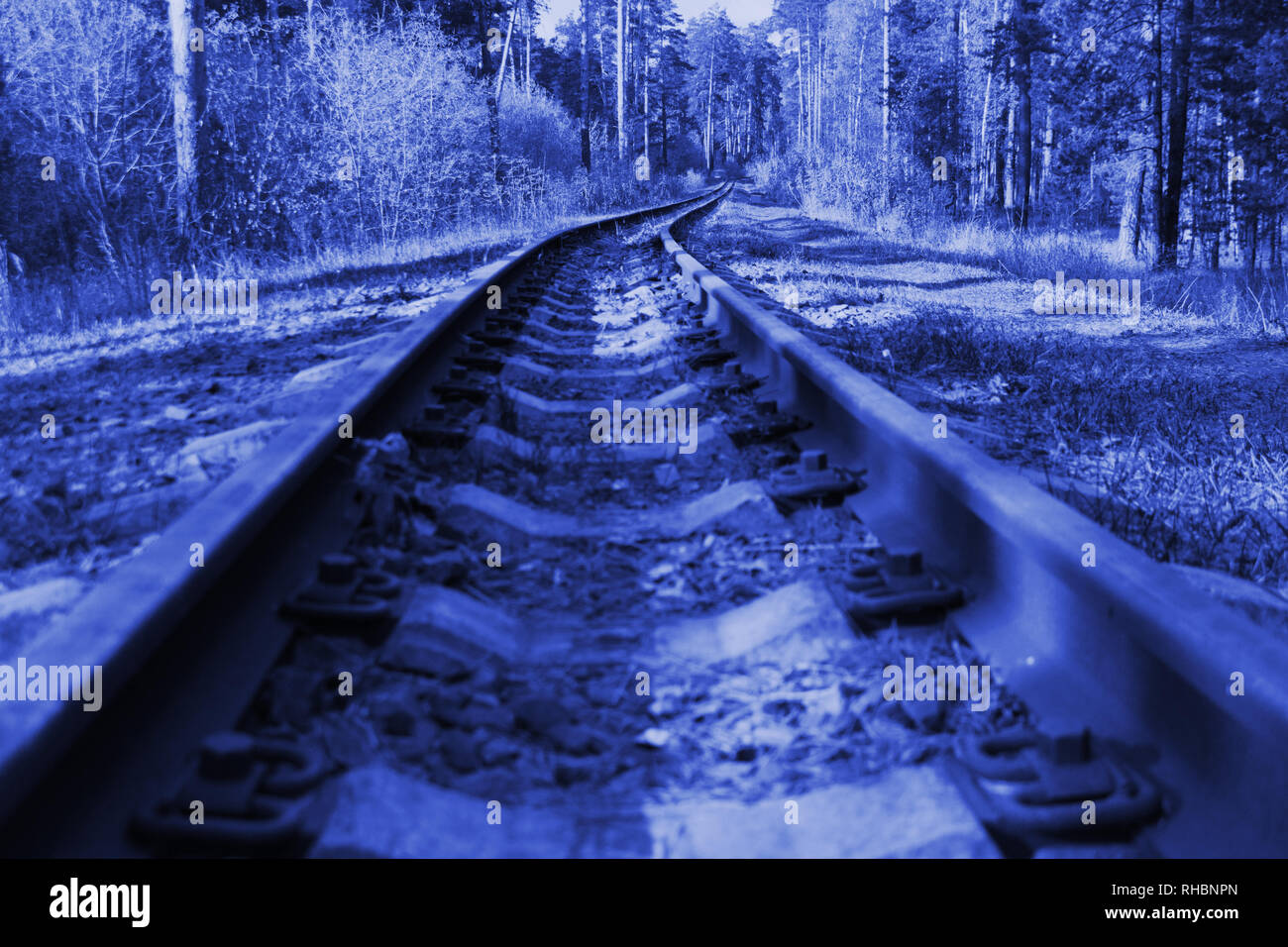 Railroad tracks through the woods at night Stock Photo - Alamy