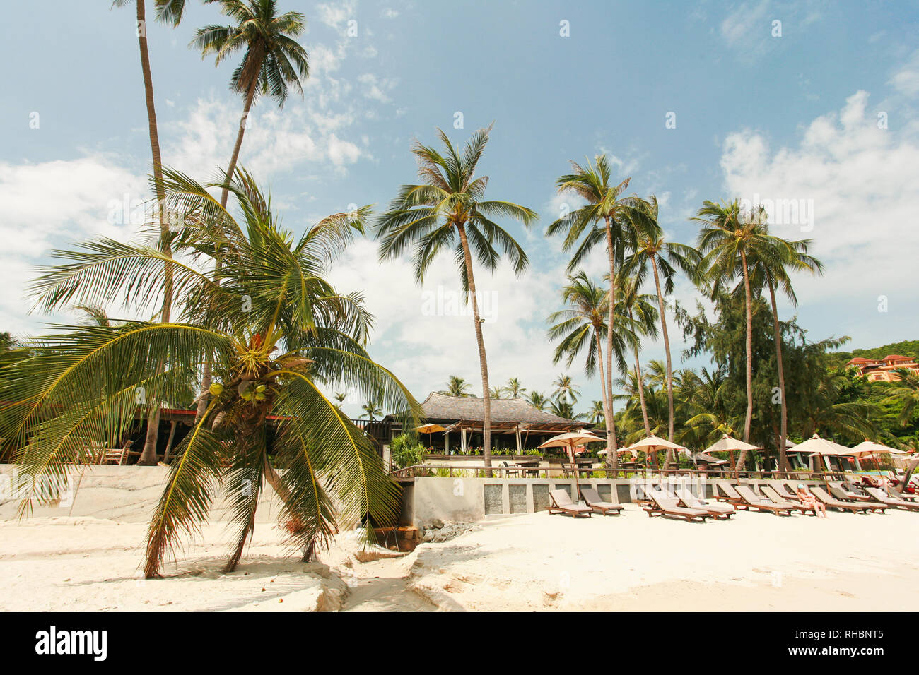 Tropical beach lagoon Stock Photo - Alamy