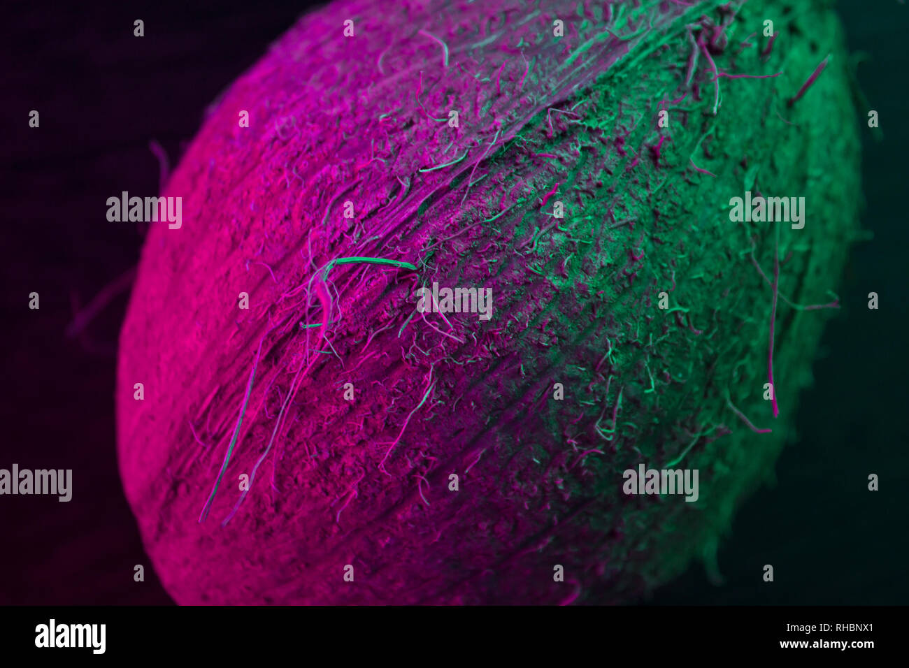 coconut on a dark background in neon light Stock Photo - Alamy