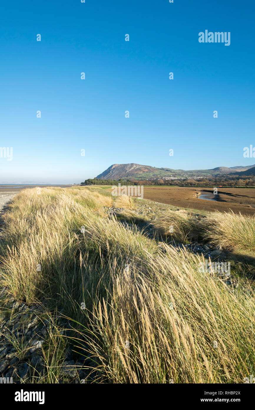 Shell island traeth lafan hi-res stock photography and images - Alamy