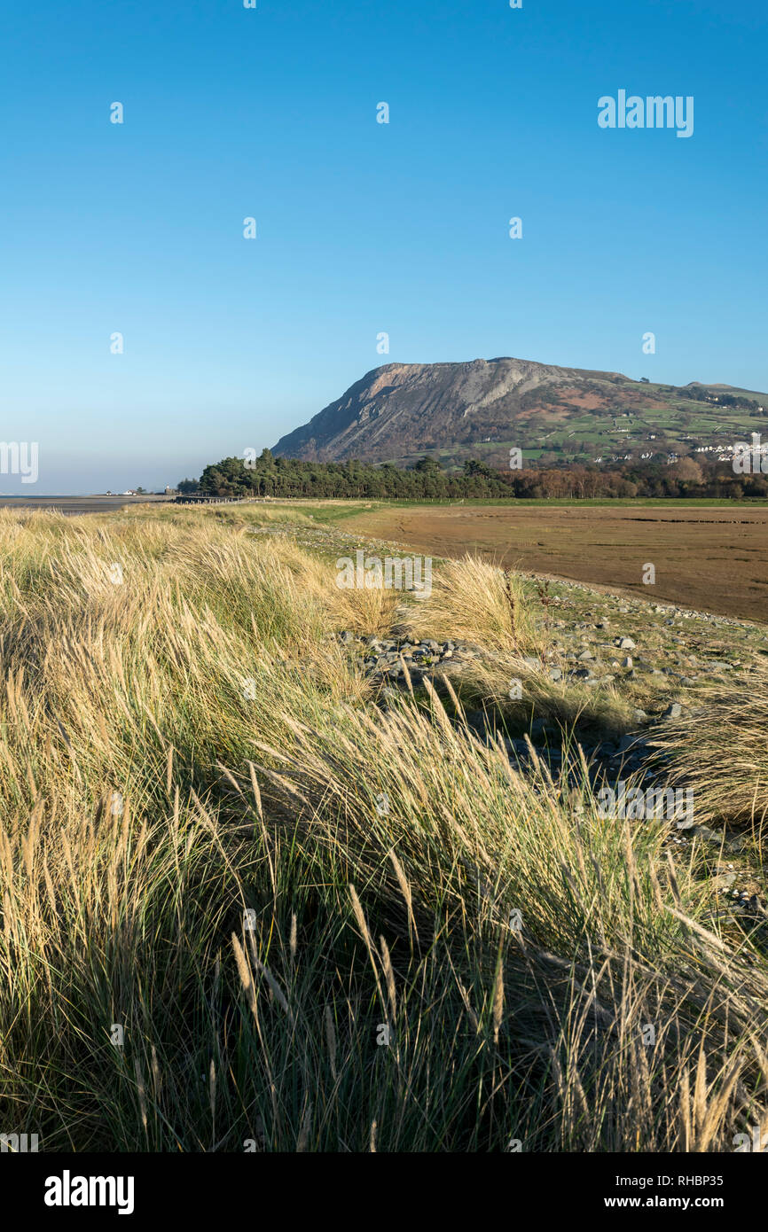 Shell island traeth lafan hi-res stock photography and images - Alamy