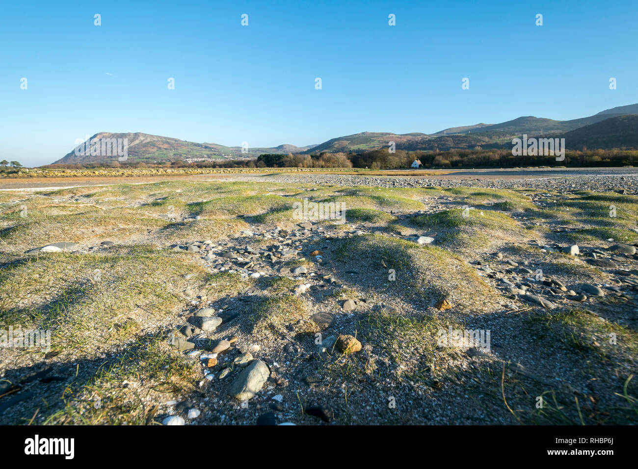 Shell island traeth lafan hi-res stock photography and images - Alamy