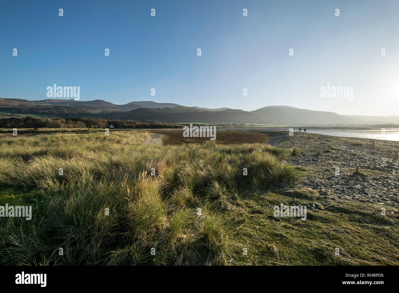 Shell island traeth lafan hi-res stock photography and images - Alamy