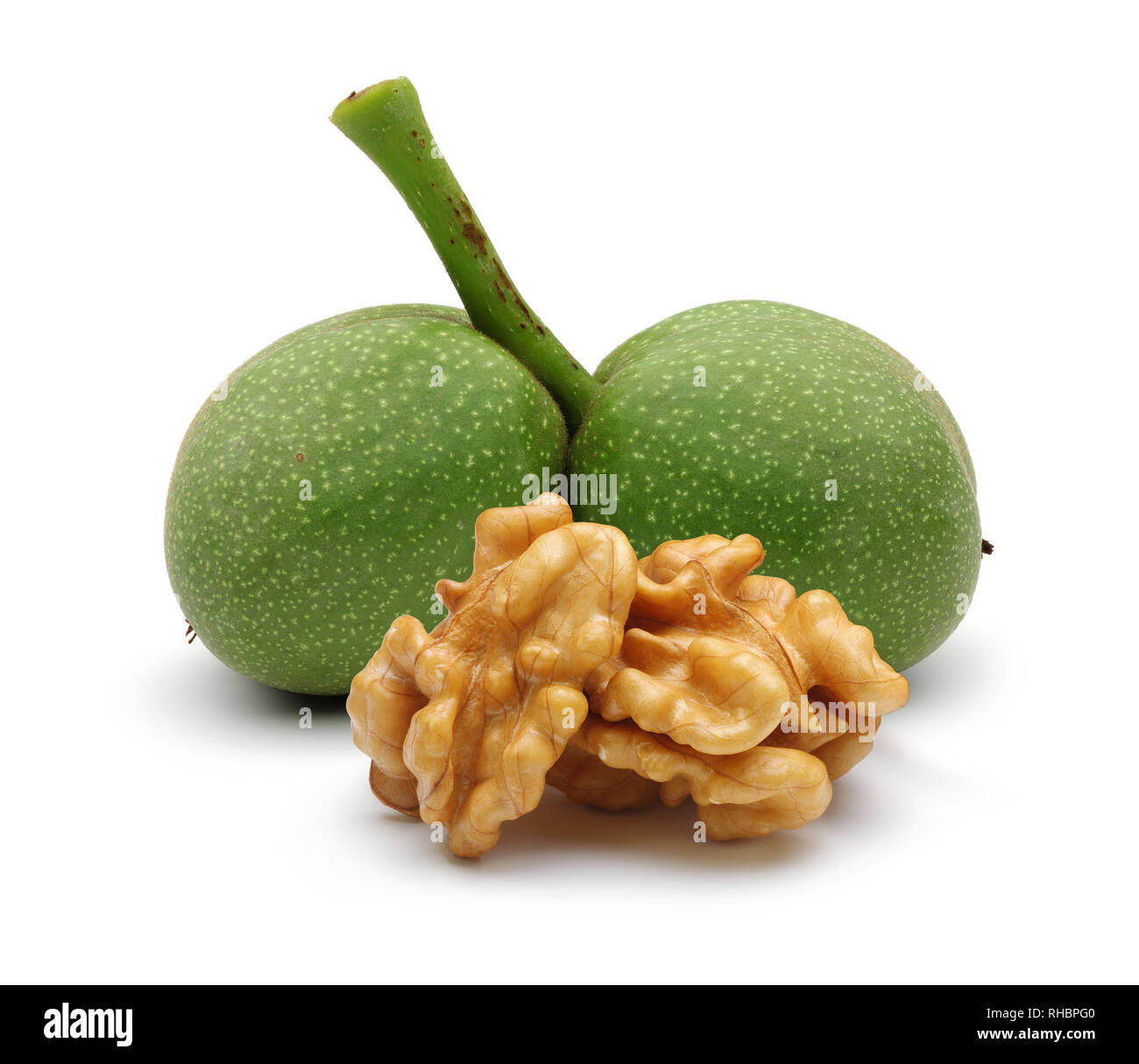 Green walnut and peeled walnut, isolated on white background Stock ...