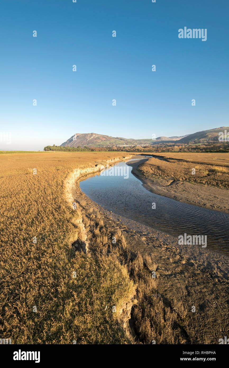 Shell island traeth lafan hi-res stock photography and images - Alamy