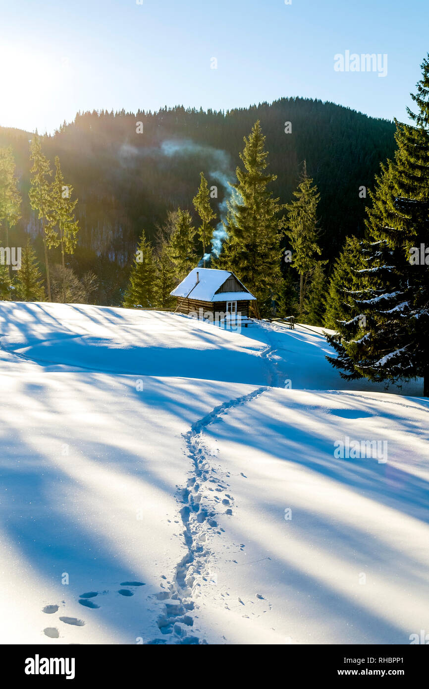 Snow trail that leads to a wooden cottage in the mountains. The fir ...