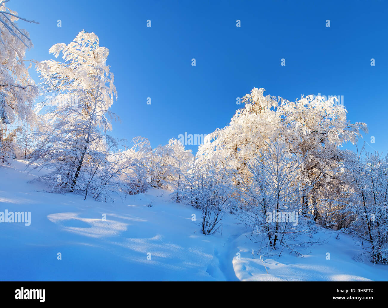 Beautiful woodland snow scene hi-res stock photography and images - Alamy
