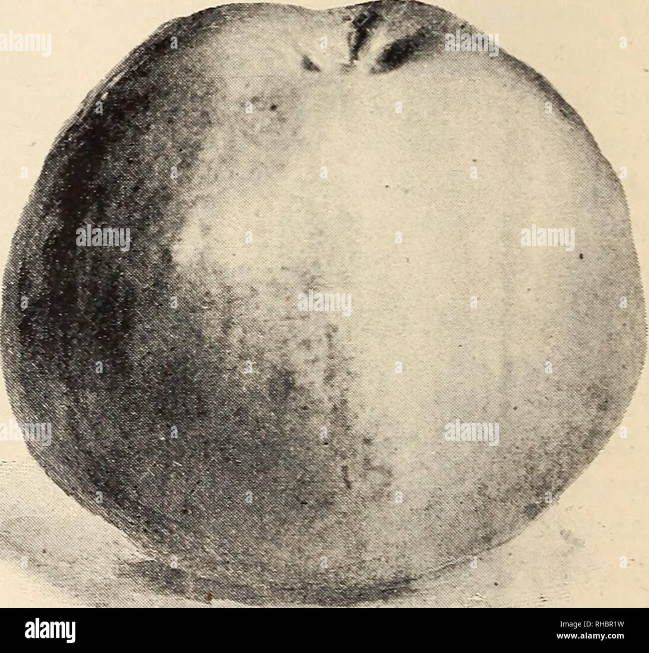 Pear court pendu plat hi-res stock photography and images - Alamy