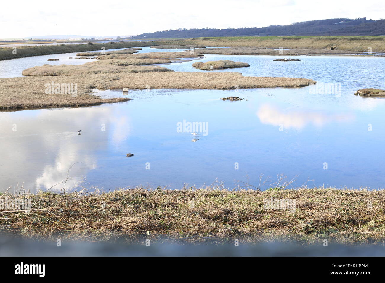 Two tree island essex hi-res stock photography and images - Alamy