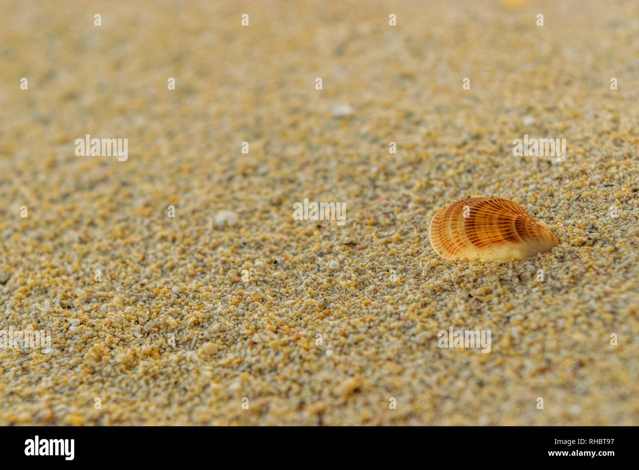 White and jamaica hi-res stock photography and images - Alamy