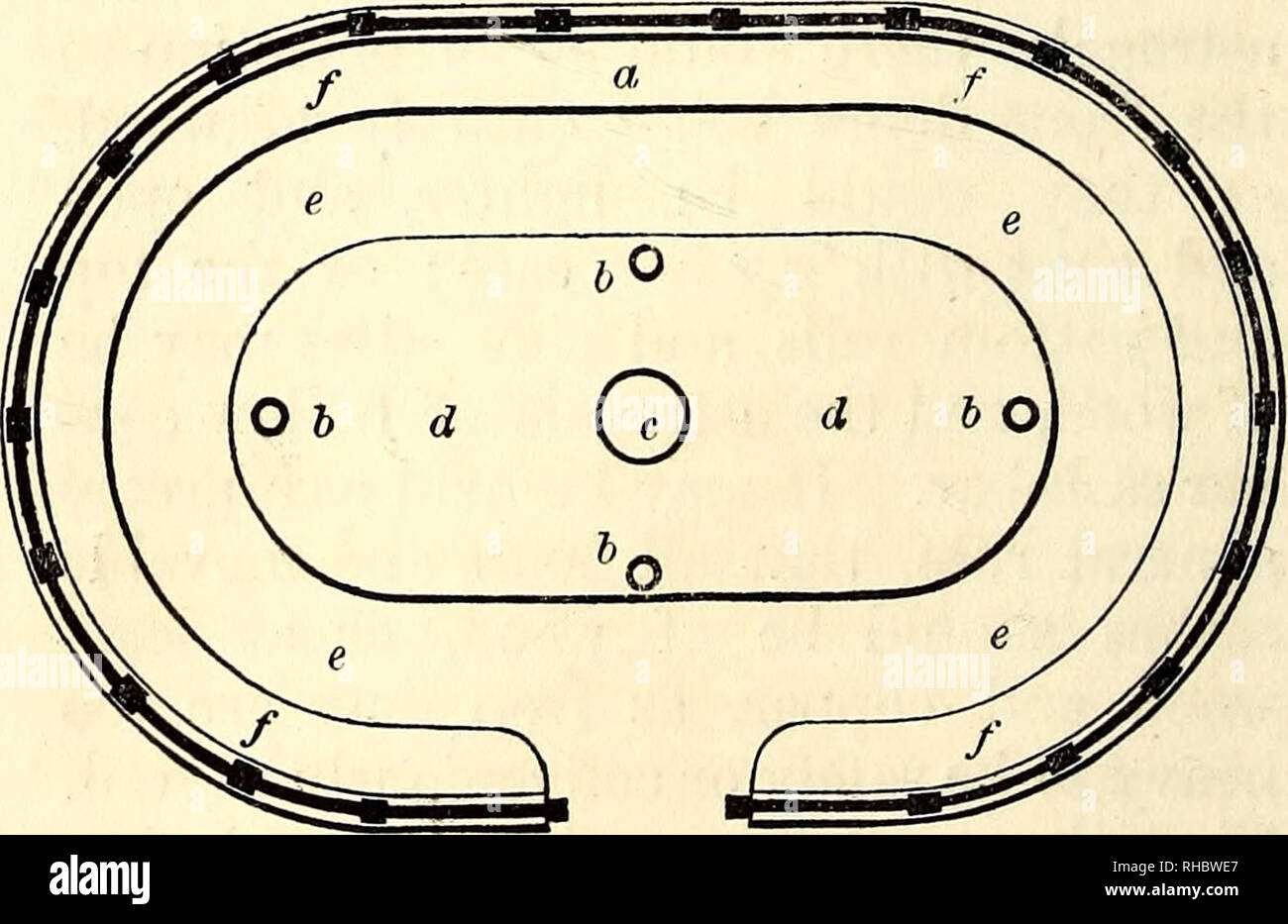 . The book of the garden. Gardening. elliptical structure, set on a ...