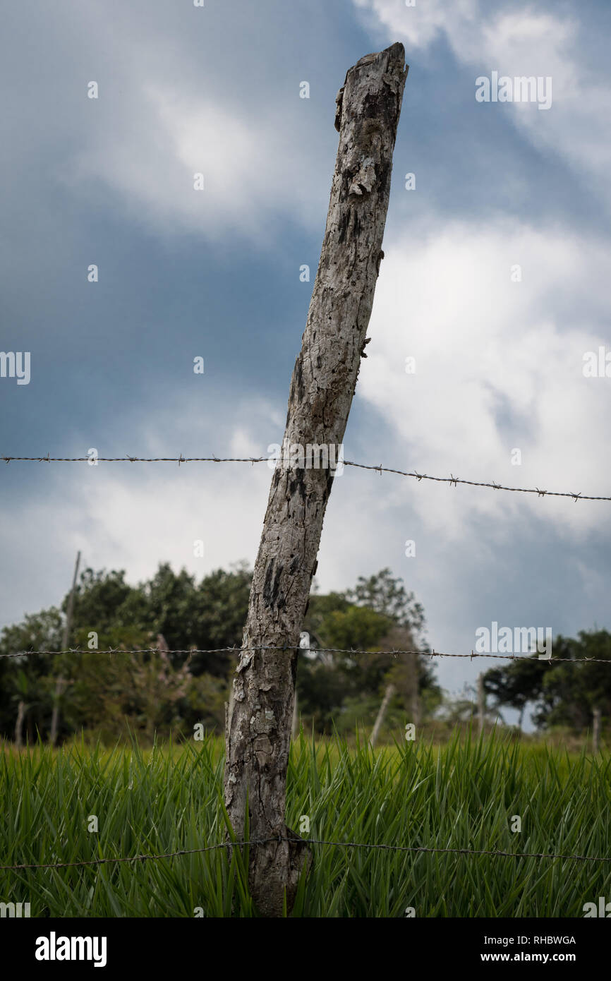 Weathered old wooden fence post with barbed wire hi-res stock ...