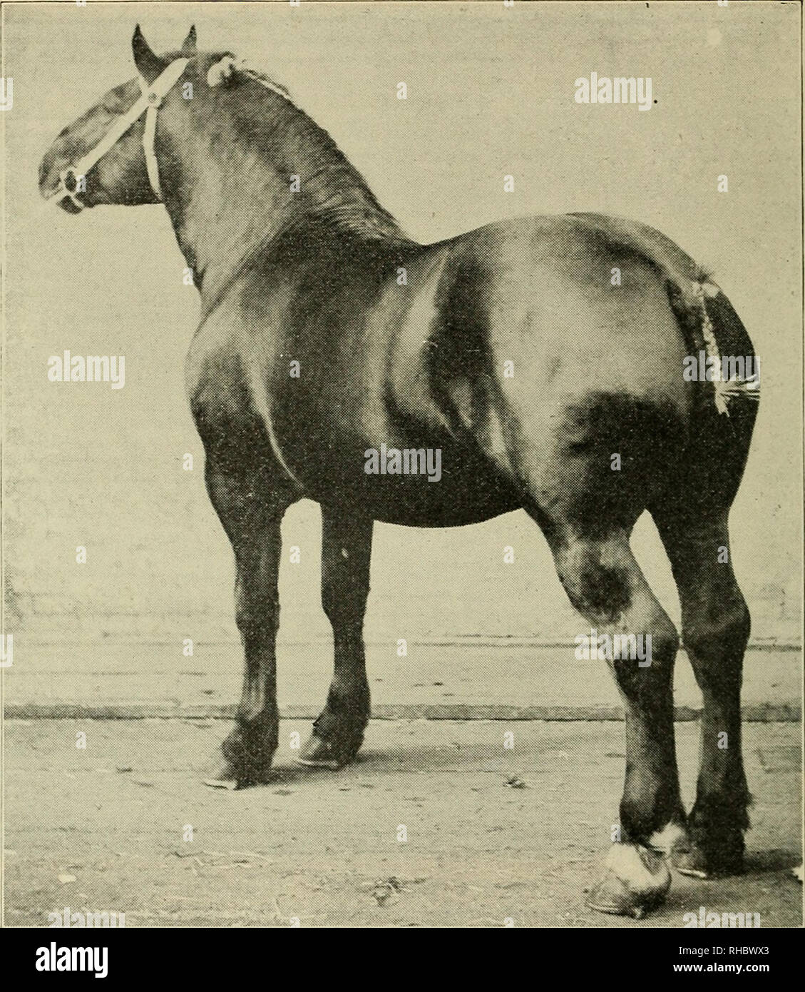 Philip mclaughlin hi-res stock photography and images - Alamy