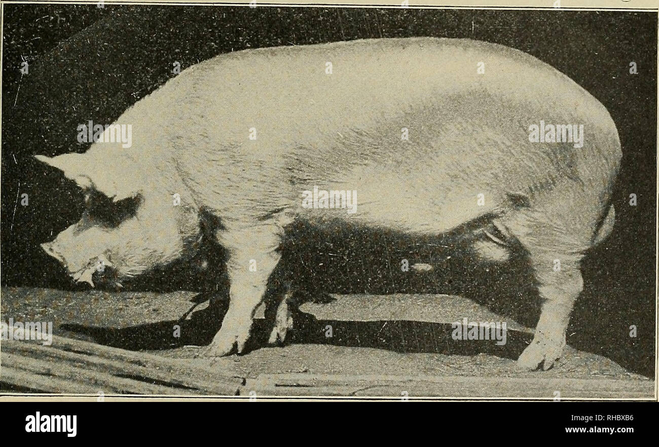 1905 eclipse hi-res stock photography and images - Alamy