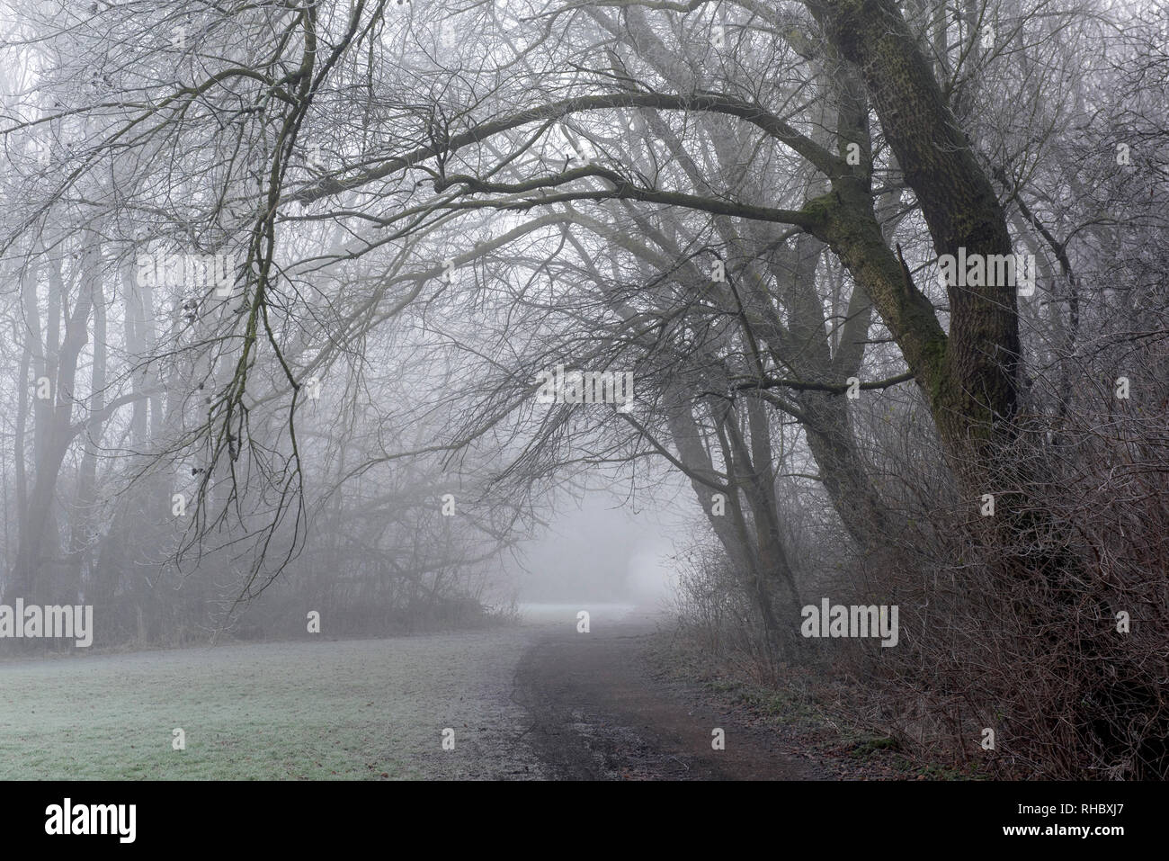 A bitterly cold winter morning at Colwick Park in Nottingham ...