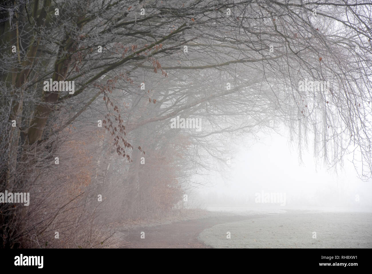 Bitterly cold hi-res stock photography and images - Alamy