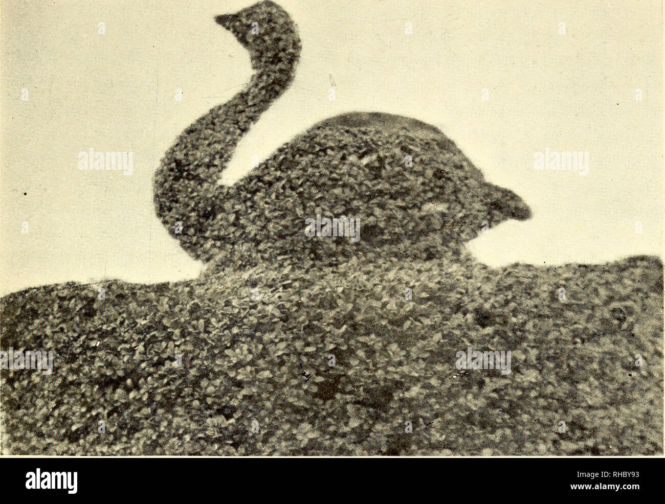 Compton wynyates hi-res stock photography and images - Alamy