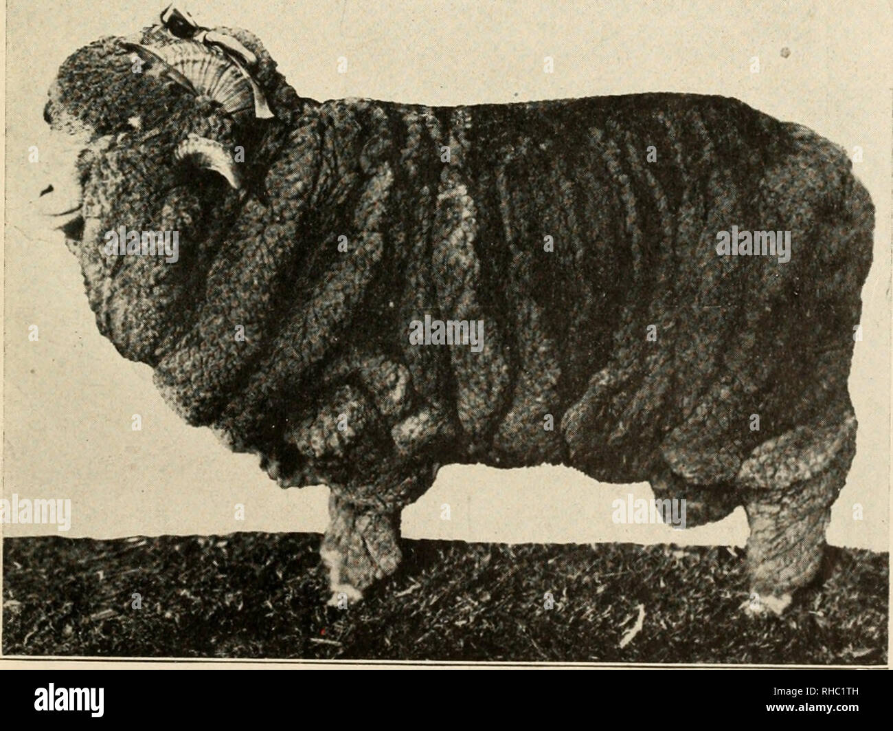 David horsfall hi-res stock photography and images - Alamy