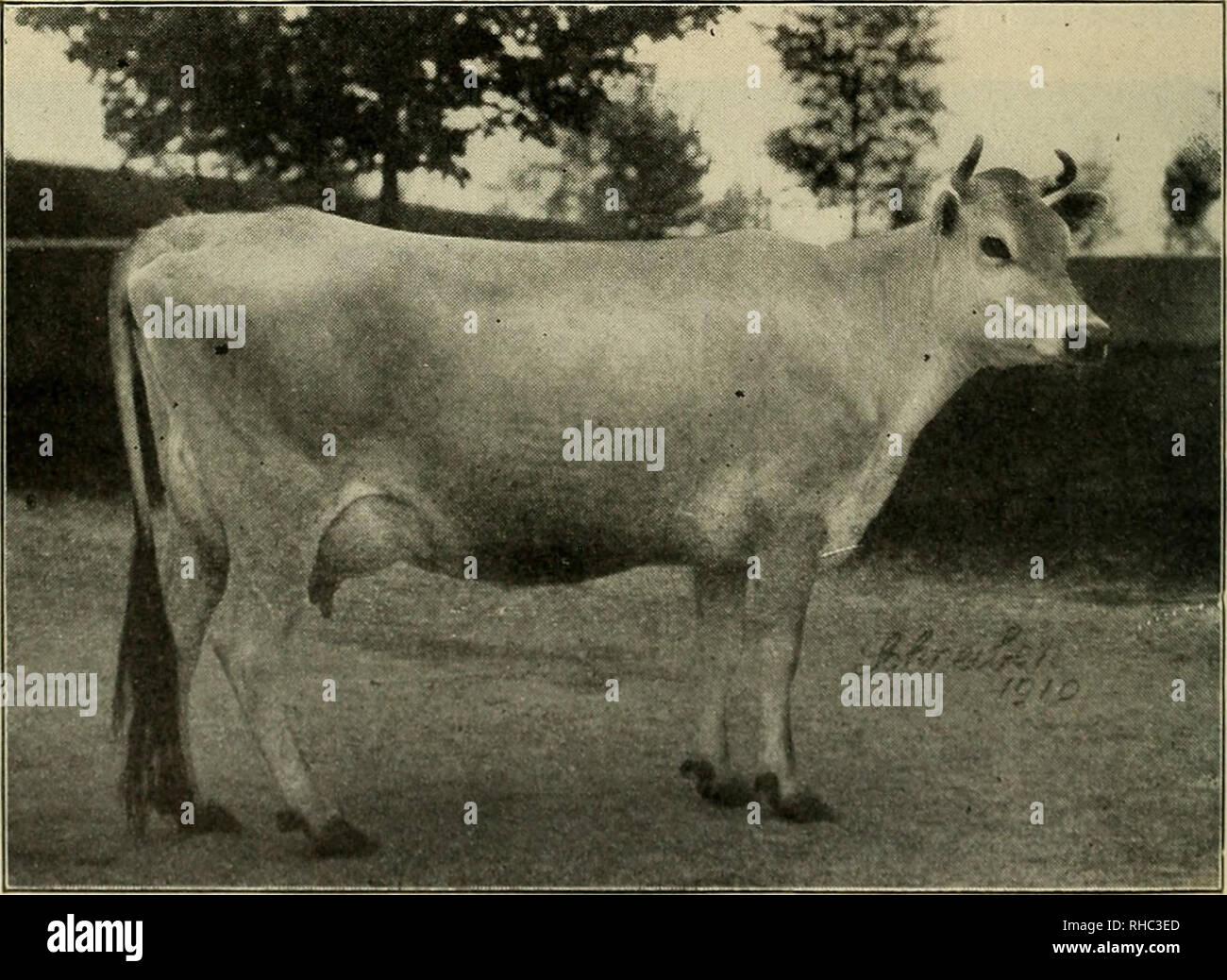 Authenticated milk hi-res stock photography and images - Alamy