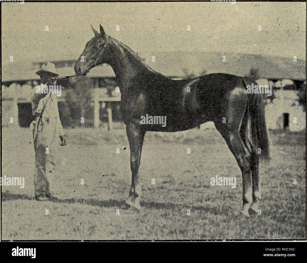 Alexander galbraith hi-res stock photography and images - Alamy