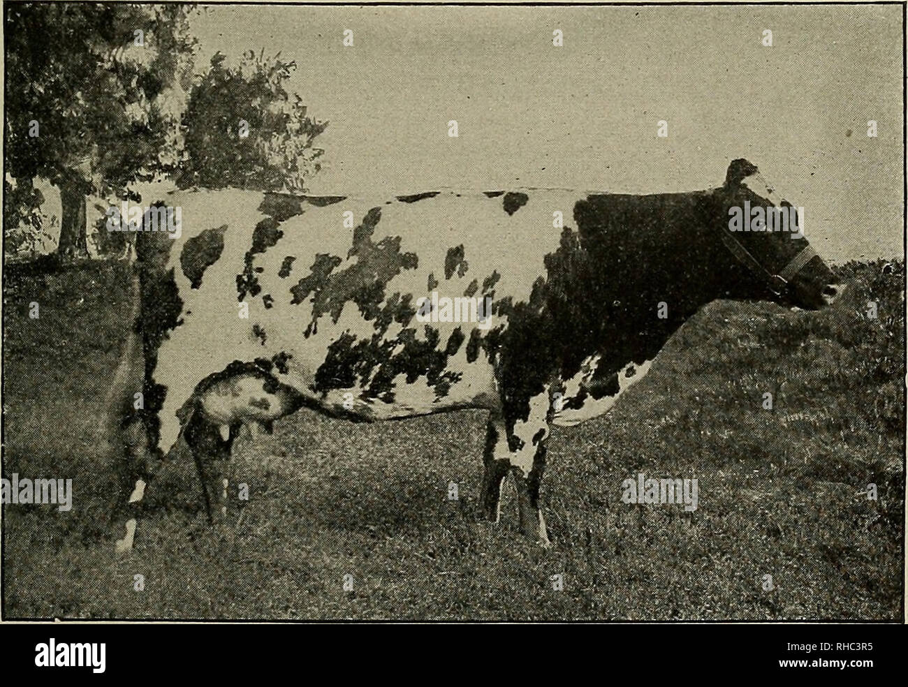 Howard cook hi-res stock photography and images - Alamy