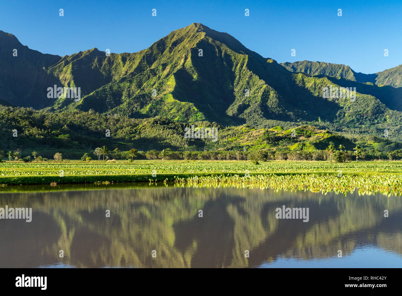Pali hill hi-res stock photography and images - Alamy