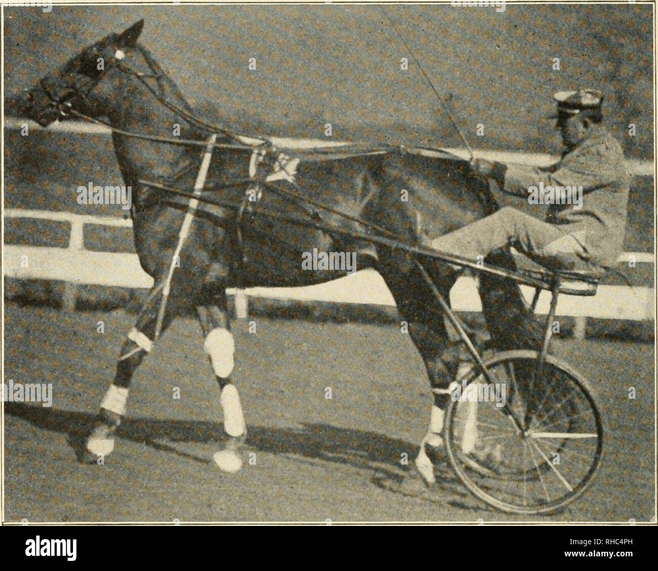 . The book of live stock champions. Livestock. 158 THE BOOK OP LIVE ...