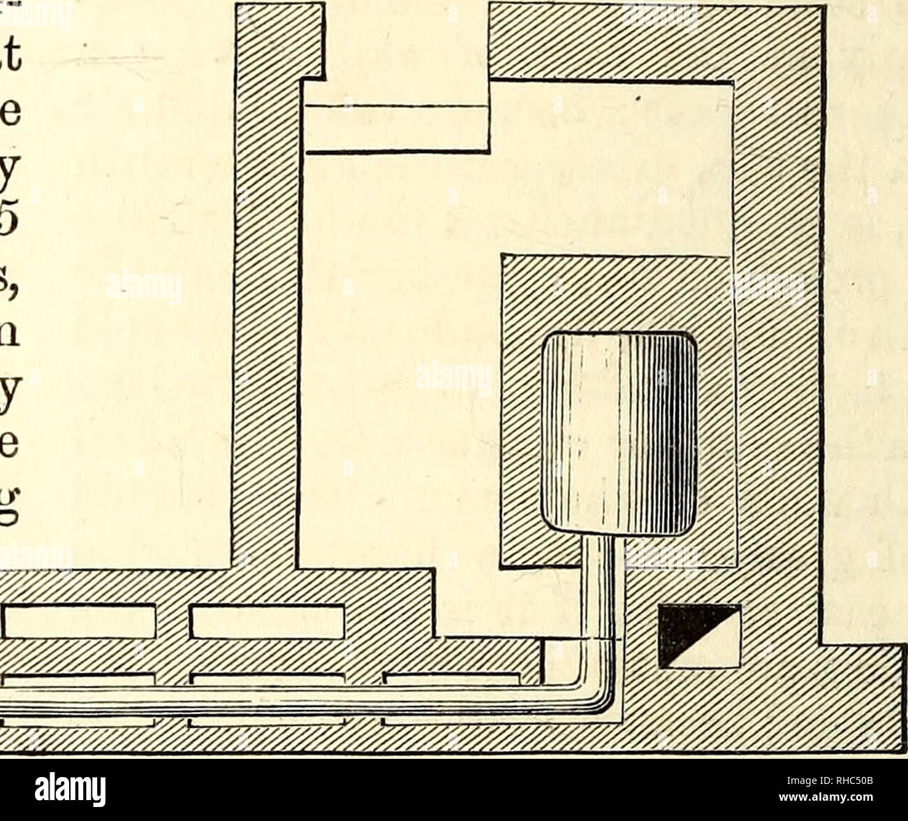 Hollow pigeon hi-res stock photography and images - Alamy