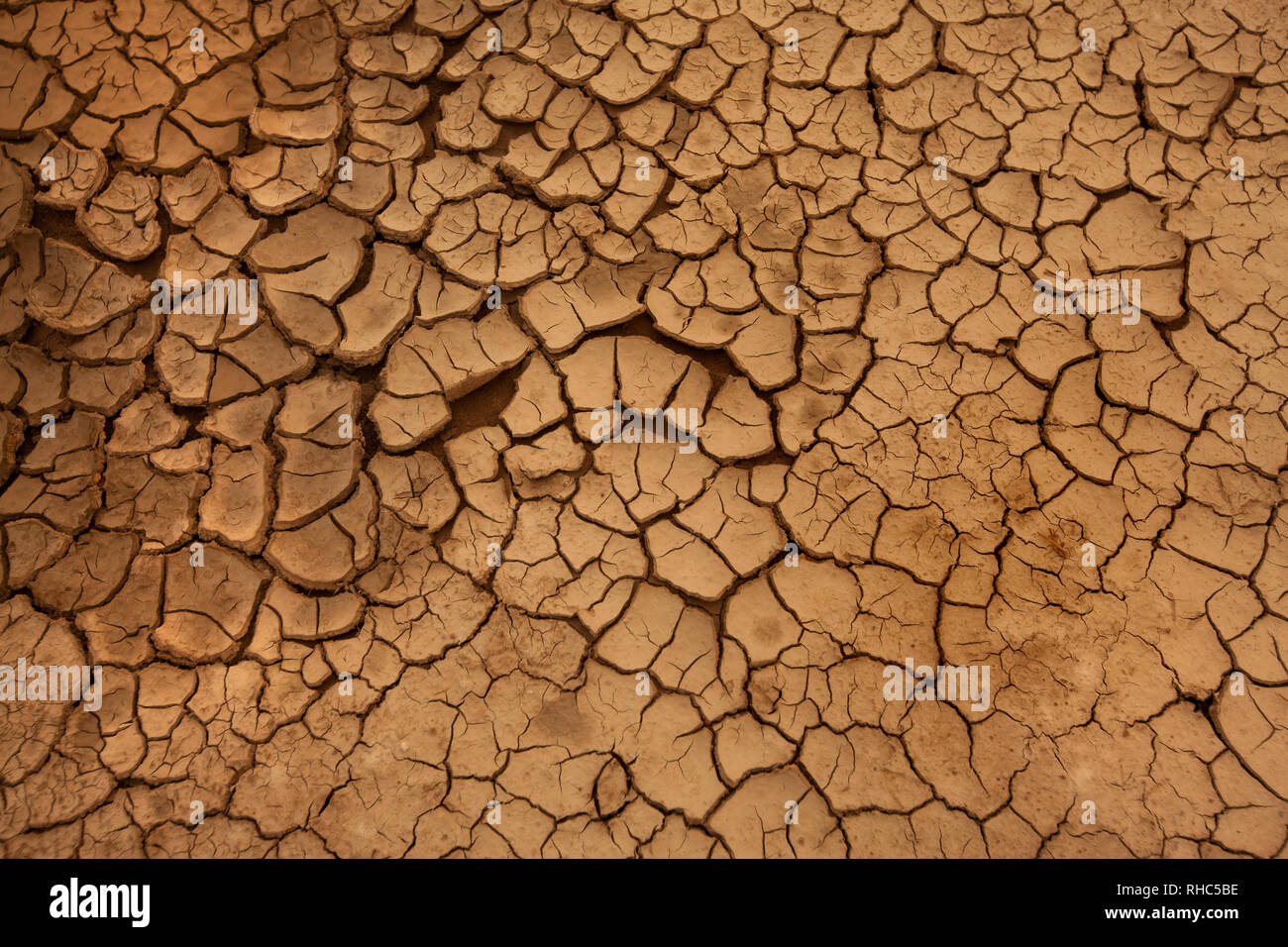 Dry Cracked, earth and ground caused by severe drought Stock Photo - Alamy