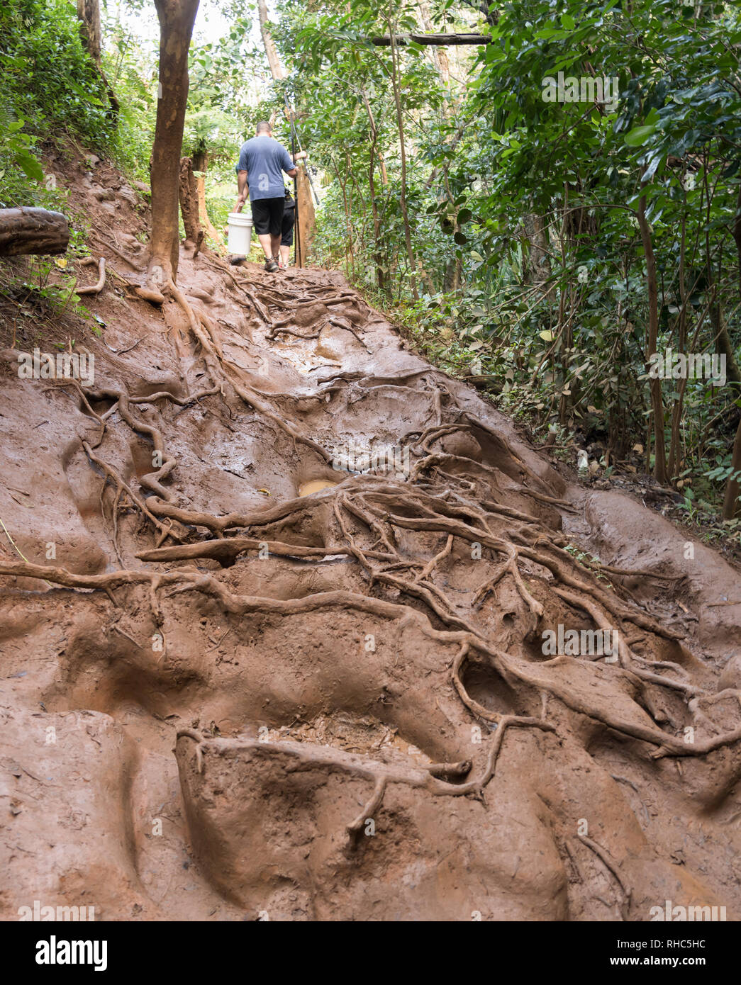 Very difficult path to Queens Bath on coast near Princeville Kauai ...