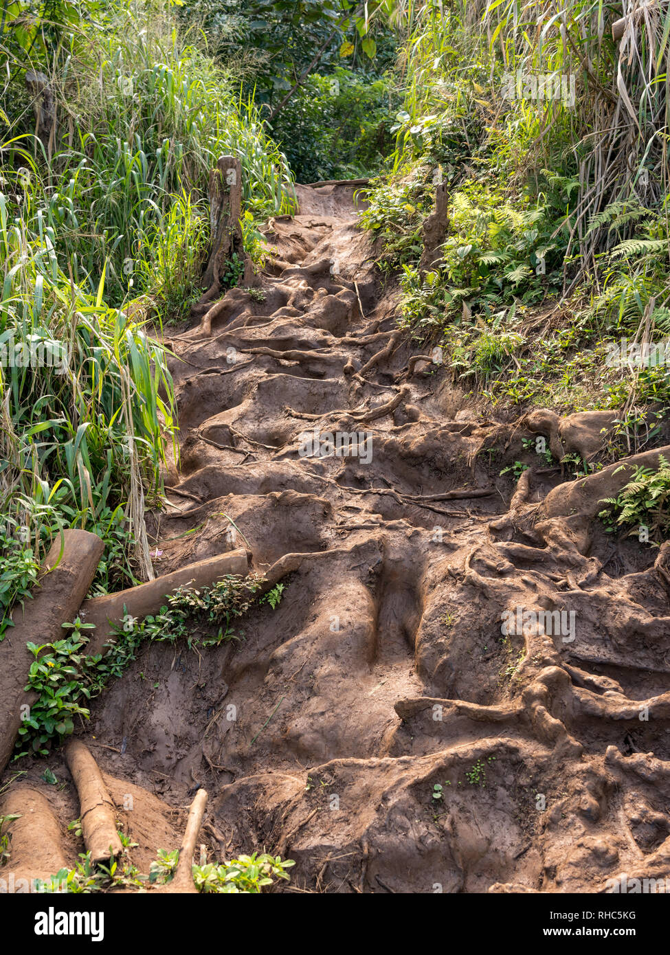 Hard Path