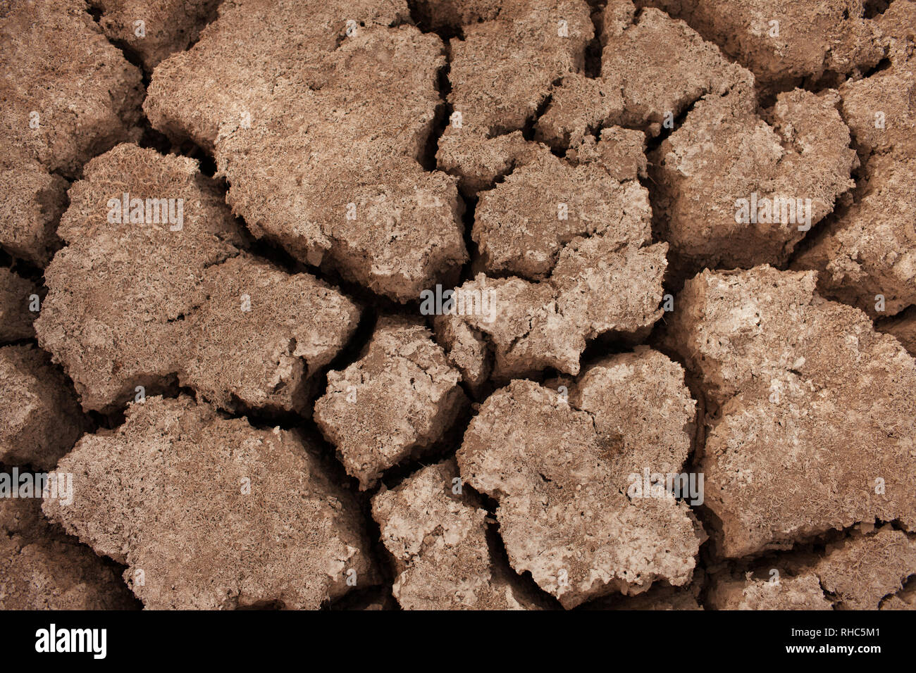Dry Cracked, earth and ground caused by severe drought Stock Photo - Alamy