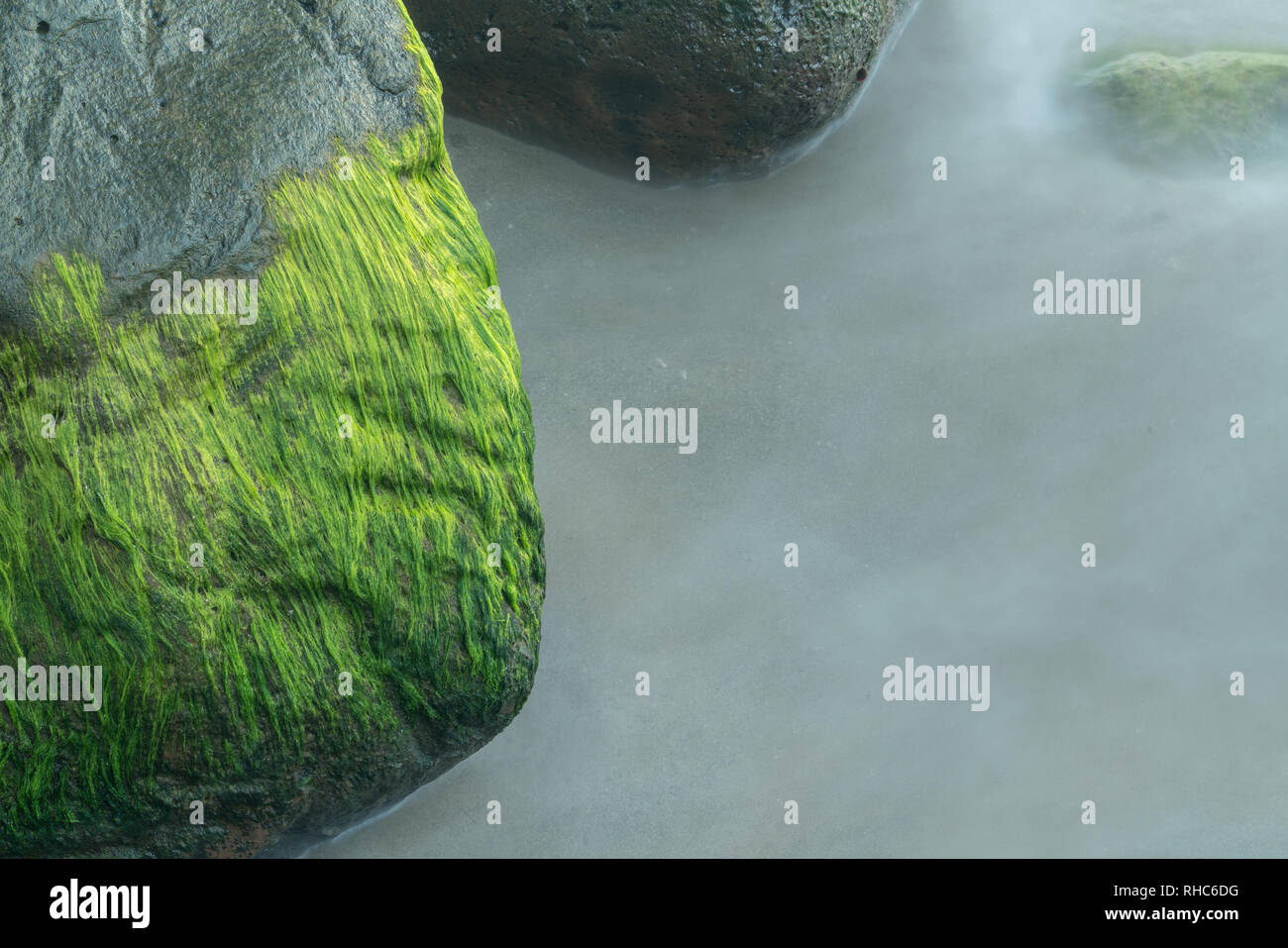 Green moss and seaweed on granite rocks in waves Stock Photo - Alamy