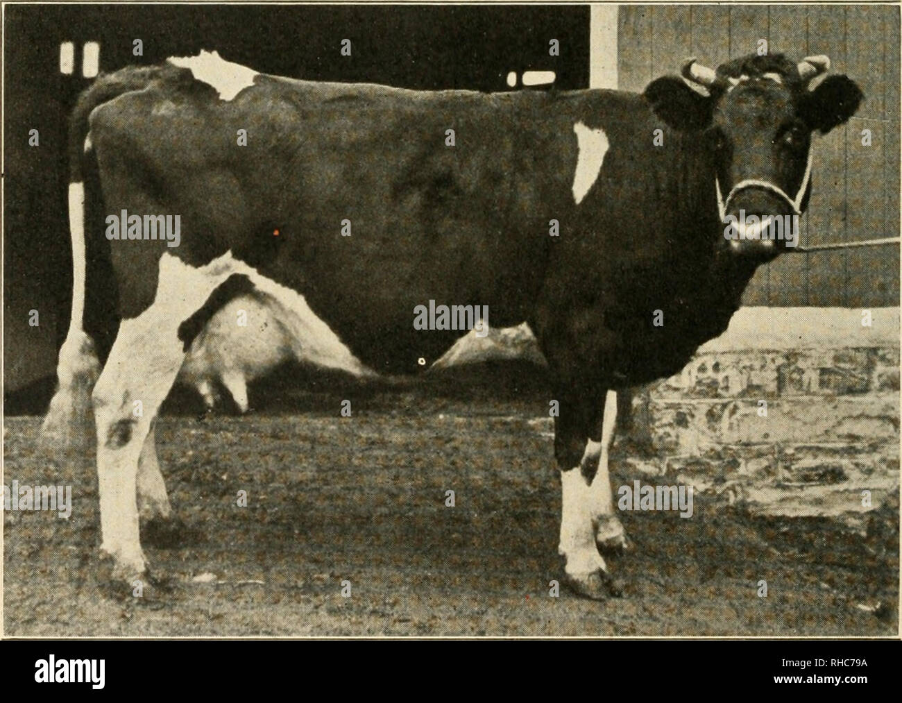 Brothertown hi-res stock photography and images - Alamy