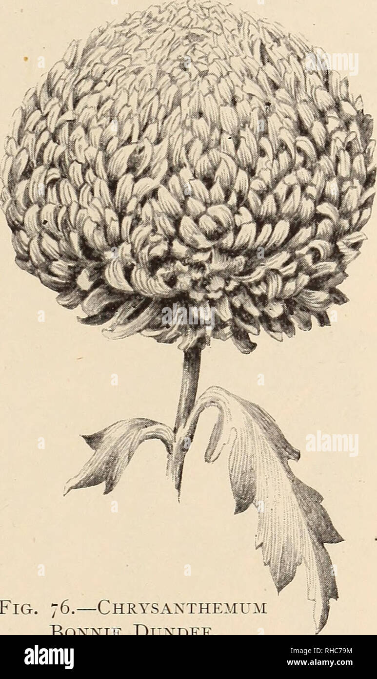 Alfred hirsch hi-res stock photography and images - Alamy