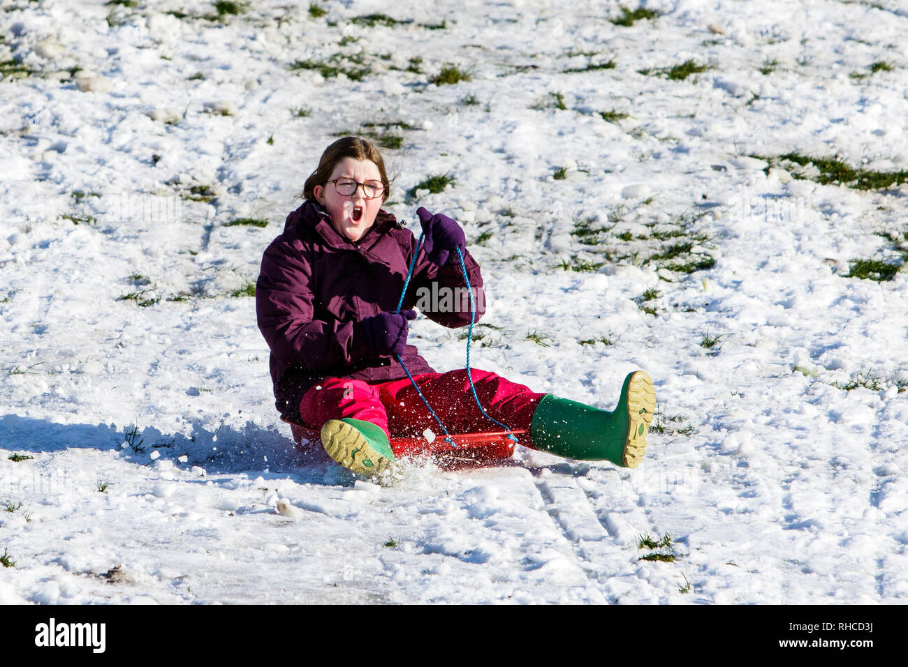 Chippenham, Wiltshire, UK. 2nd February, 2019. A girl enjoying the snow ...