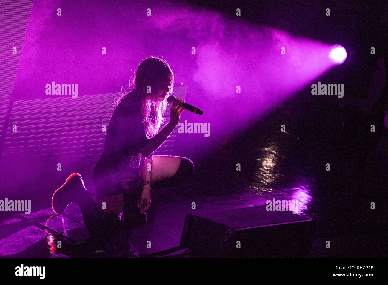 Madison, Wisconsin, USA. 31st Jan, 2019. Alison Wonderland (Alexandra ...