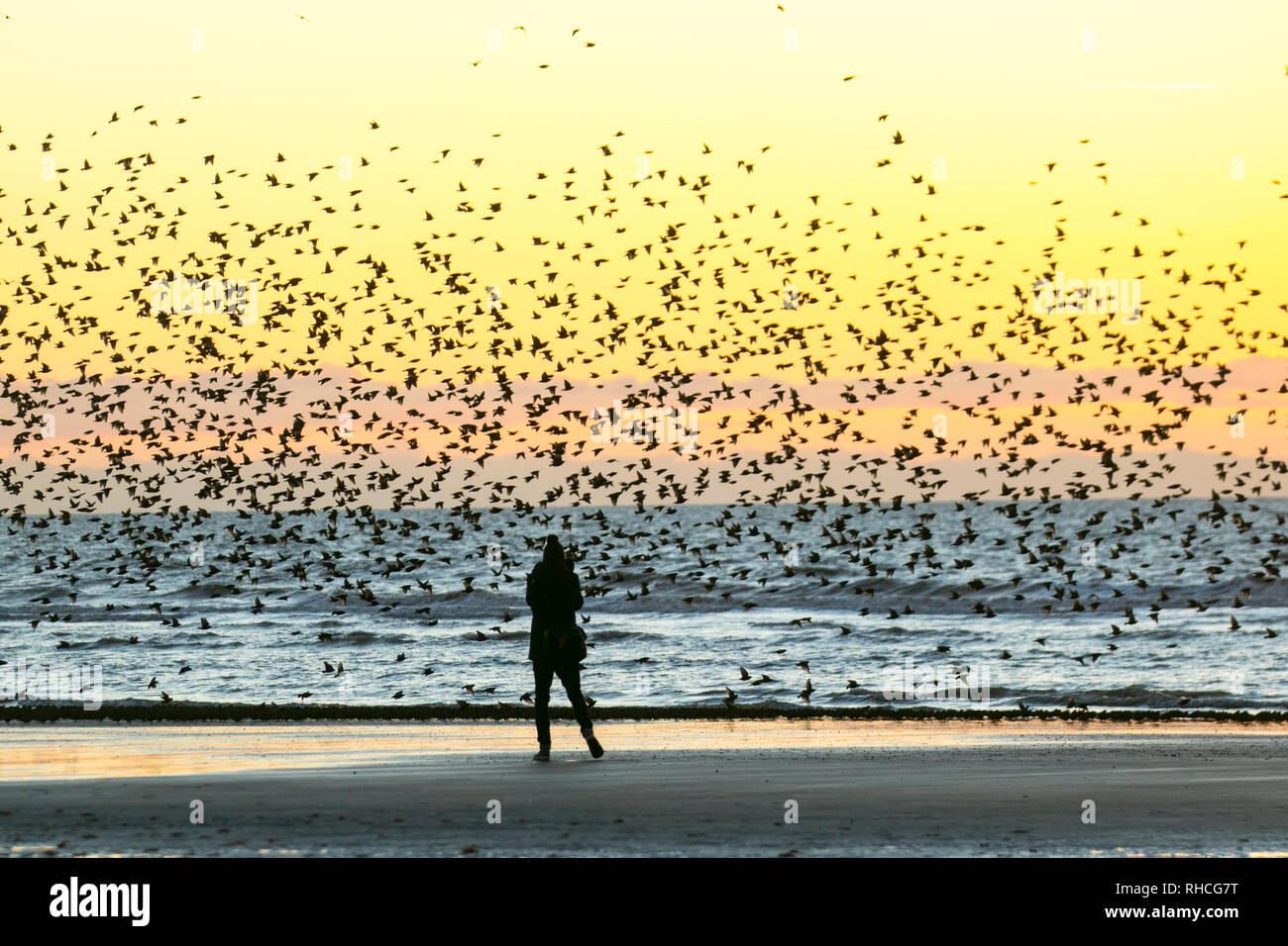 Victorian photographer blackpool hi-res stock photography and images ...