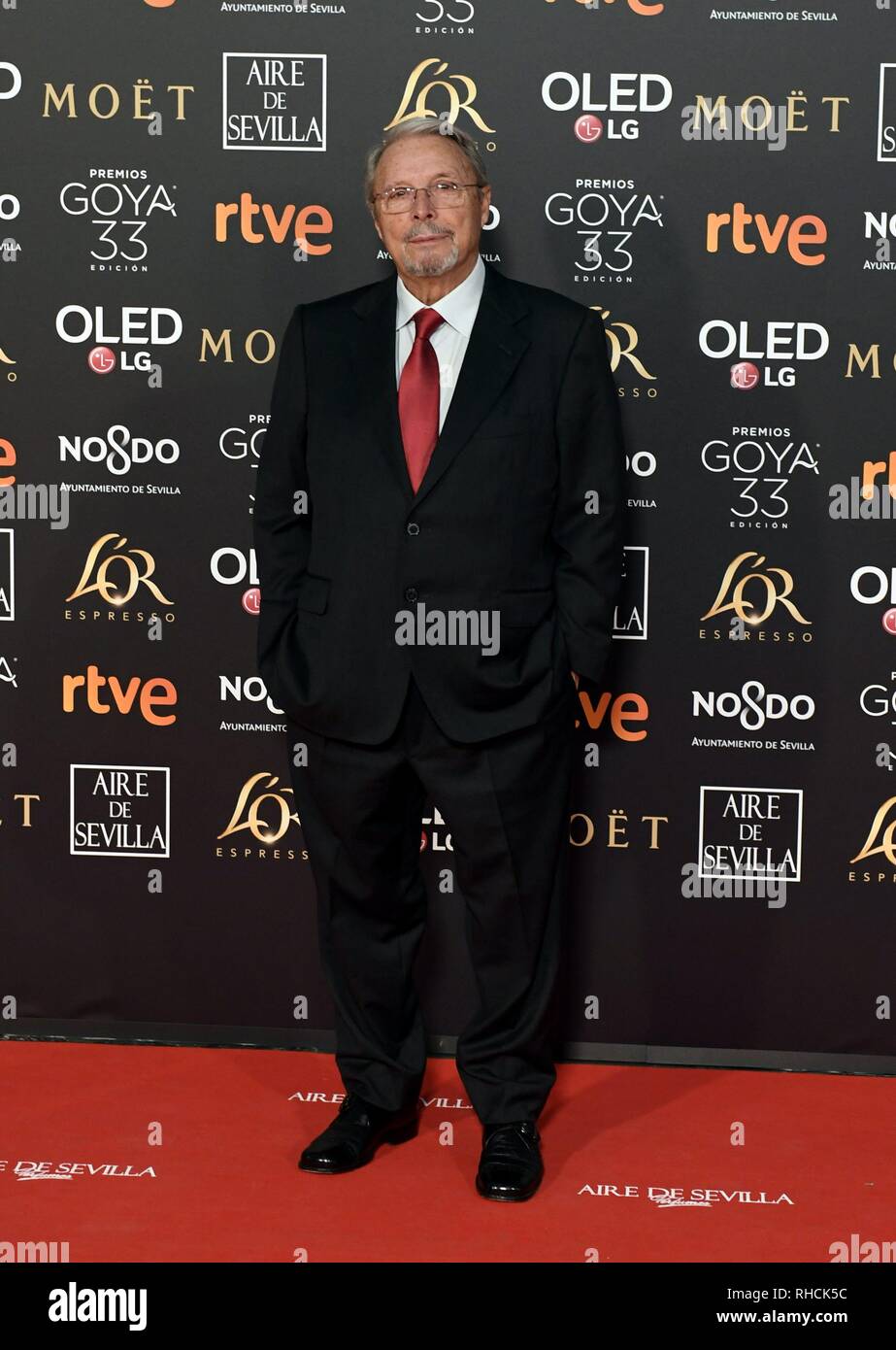 Sevilla, Spain. 2nd Feb 2019. photocall during the 33th annual Goya ...