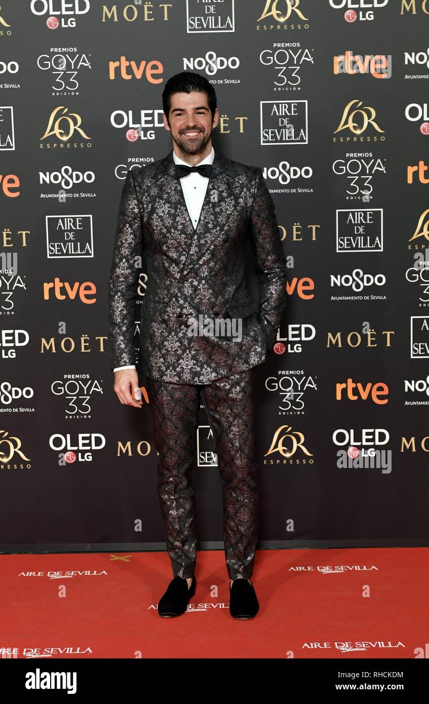 Sevilla, Spain. 2nd Feb 2019. Actor Miguel Angel Muñoz at photocall ...