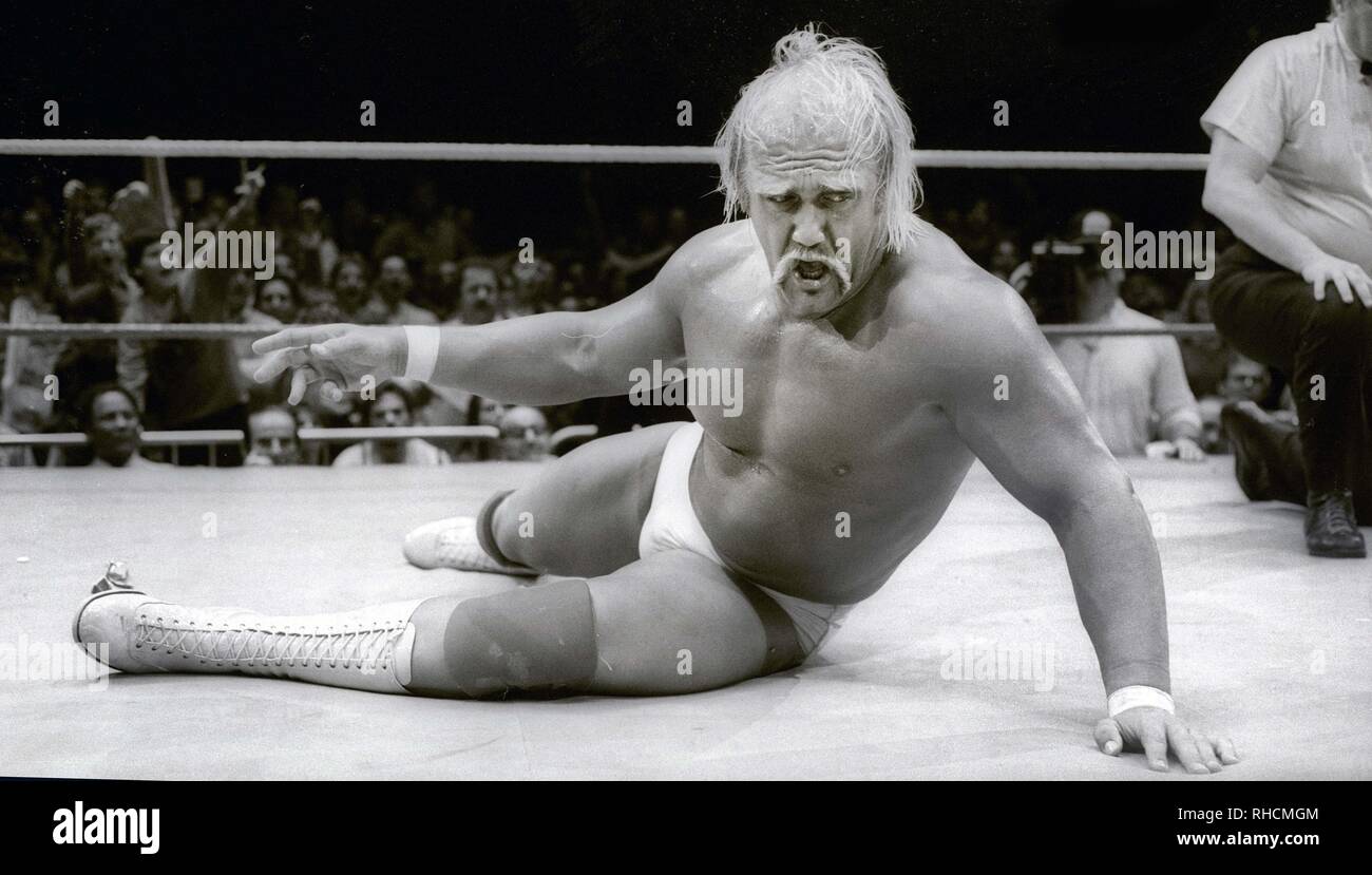 Hulk Hogan 1985 Photo By Adam Scull/PHOTOlink.net Stock Photo - Alamy