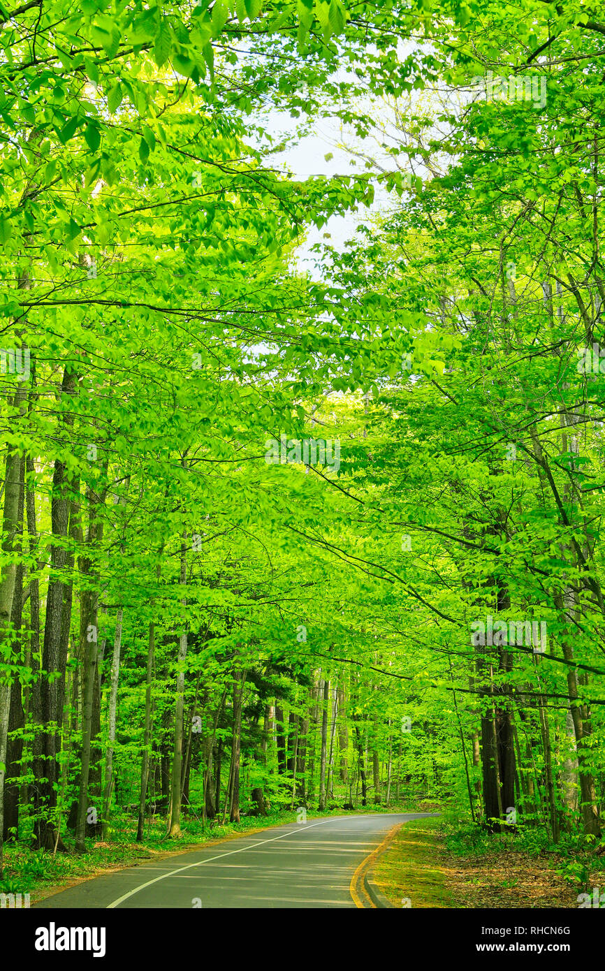 Pierce stocking scenic drive hi-res stock photography and images - Alamy