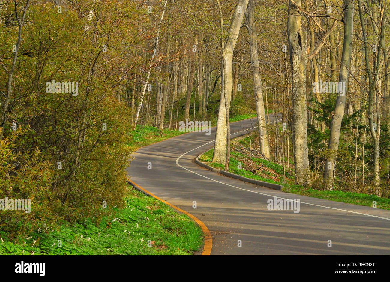 Pierce Stocking Scenic Drive, Sleeping Bear Dunes National Lakeshore ...