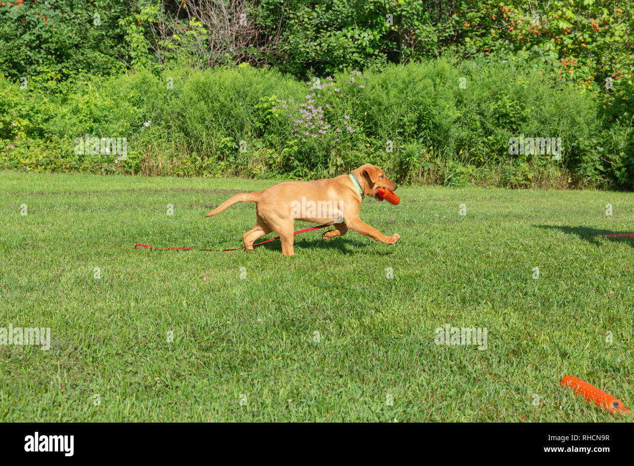 Returning with bumper hi-res stock photography and images - Alamy